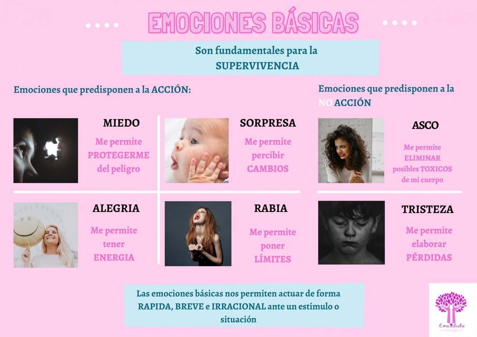 Emociones básicas | Centro Emociónate